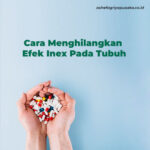 Ini 8 Cara Menghilangkan Efek Inex Pada Tubuh - Ashefa Griya Pusaka